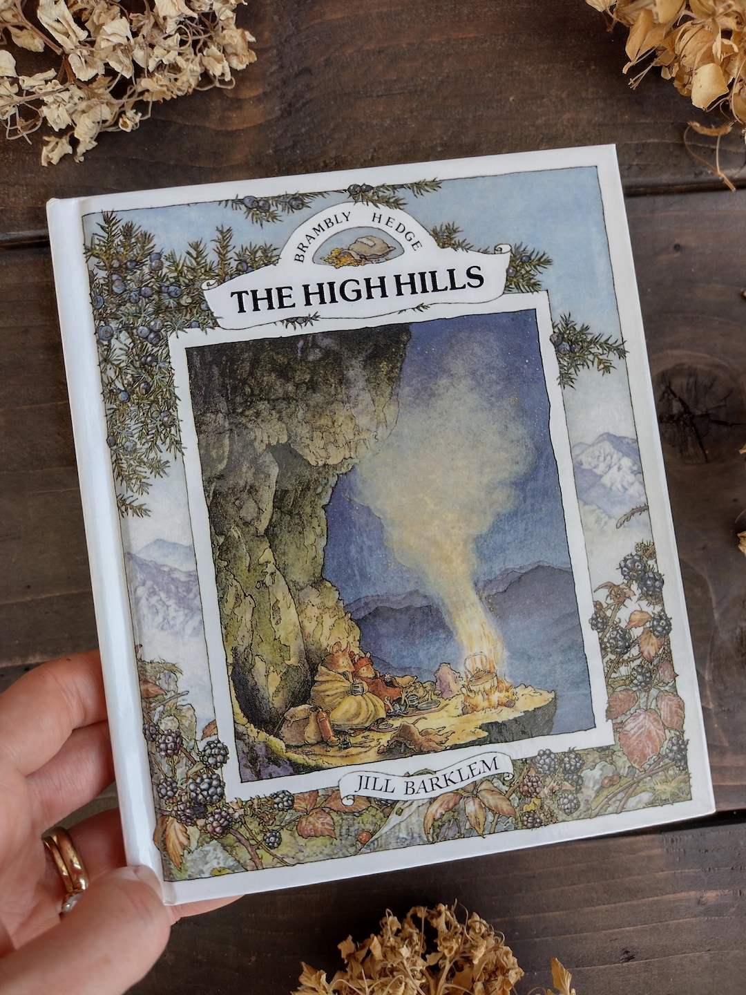 The High Hills - Brambly Hedge Book - Vintage Children's Illustrated ...