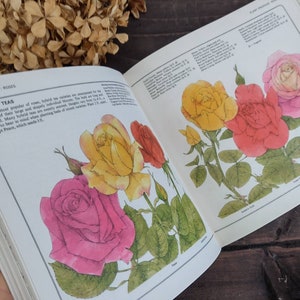 Gardening Year Guide - Illustrated Botanical Book - Etsy