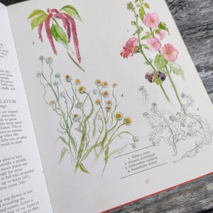 Guide to Drying Flowers Book - Botanical Book - Etsy