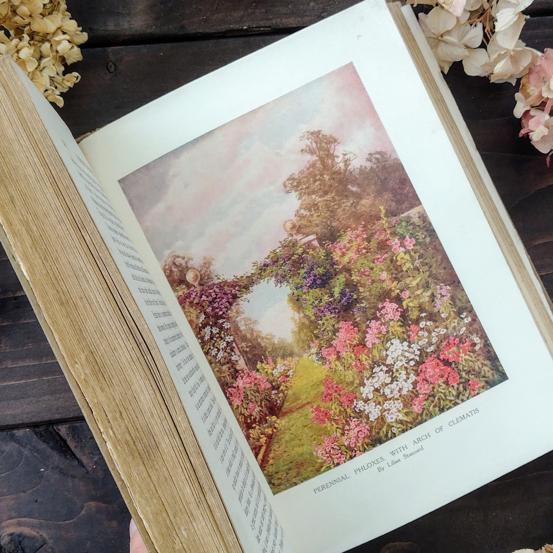 HUGE Antique Beautiful Garden Flowers Book Botanical Nature Illustrated ...