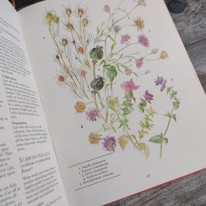 Guide to Drying Flowers Book - Botanical Book - Etsy