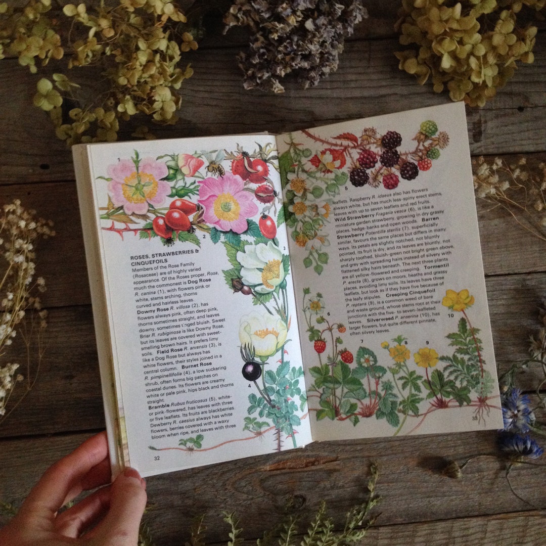 Wildflower Guide Nature Guide Vintage Book Hardcover Book Natural ...