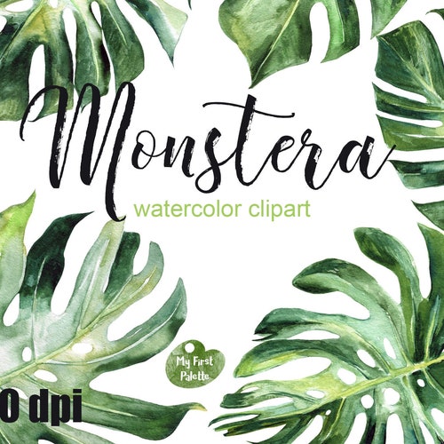 Tropical Leaves Watercolor Leaves Clip Art Monstera Leaves - Etsy