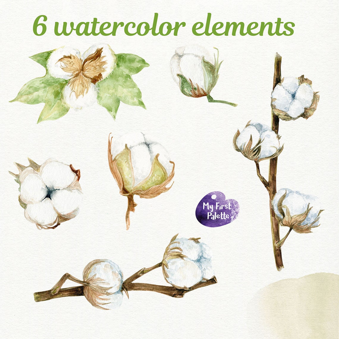 Watercolor Cotton Flowers Clipart 400 Dpi PNG, Floral and Plants ...