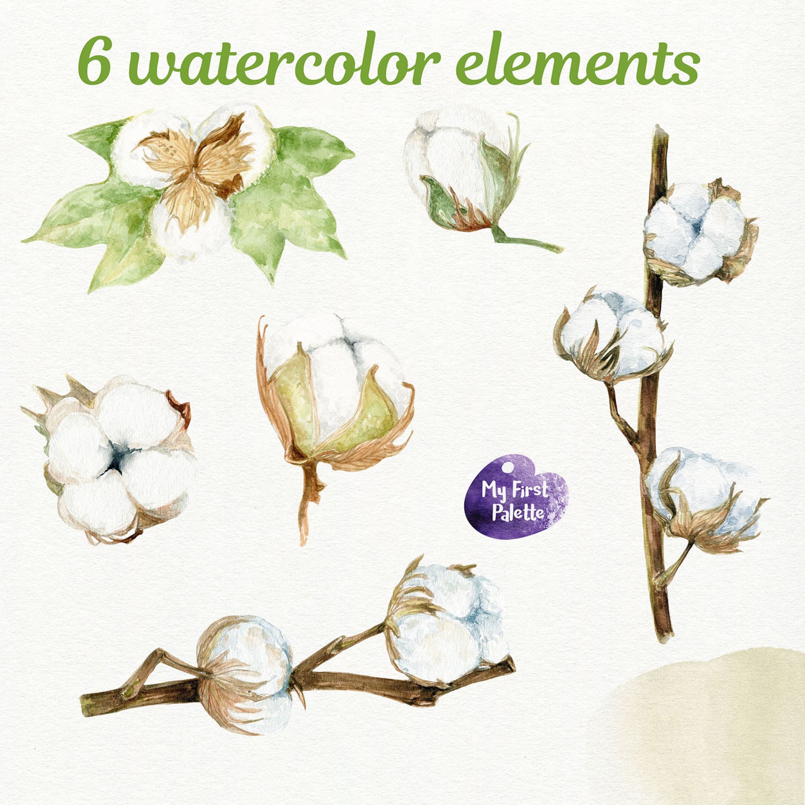Watercolor Cotton Flowers Clipart 400 Dpi PNG Floral and - Etsy