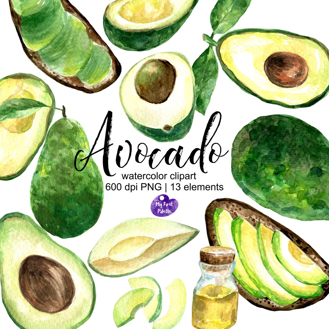 Avocado Watercolor Clipart 600 Dpi Png Illustration for Stickers ...