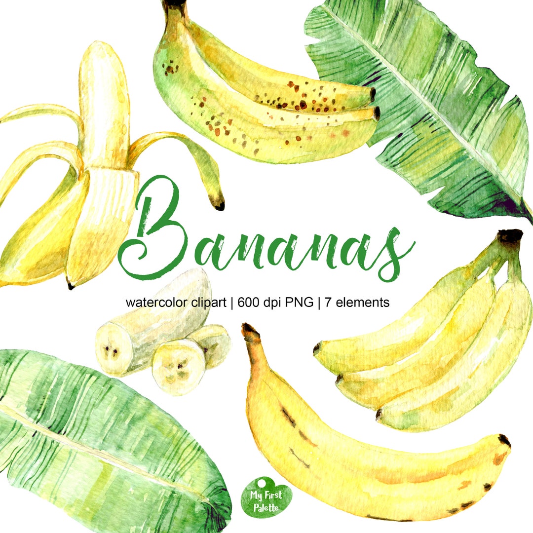 Watercolor Banana Clipart: Tropical Fruit PNG (600 DPI) - Etsy
