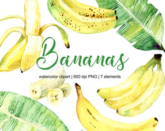 Watercolor Banana Clipart: Tropical Fruit PNG (600 DPI) - Etsy