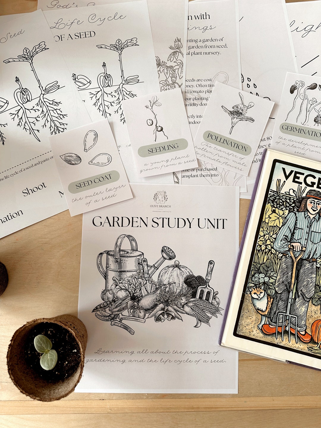 Gardening Study Unit - Etsy
