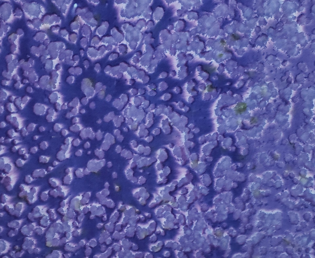 Batik - Purple Fabric With "almost" Single Border on One Edge - Etsy