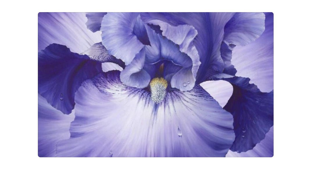 Lush Violet DP24191 by Hilary Mayes for Northcott Fabric Panel ≈ 43"x44 ...