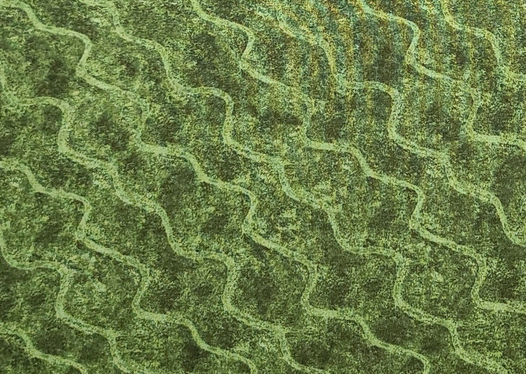 Debbie Mumm for SSI - Dark Green, Bright Green Tonal Wave Fabric - Etsy