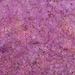 BATIK Bright Purple / Rust Fabric / Flower Pattern - Etsy