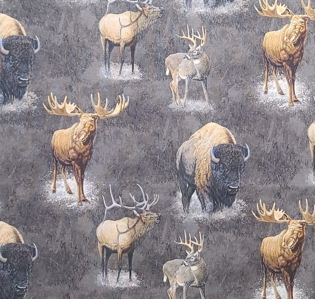 Big Game by Riley Blake Designs 2022 PATTERN C12970 Big Game Main ...