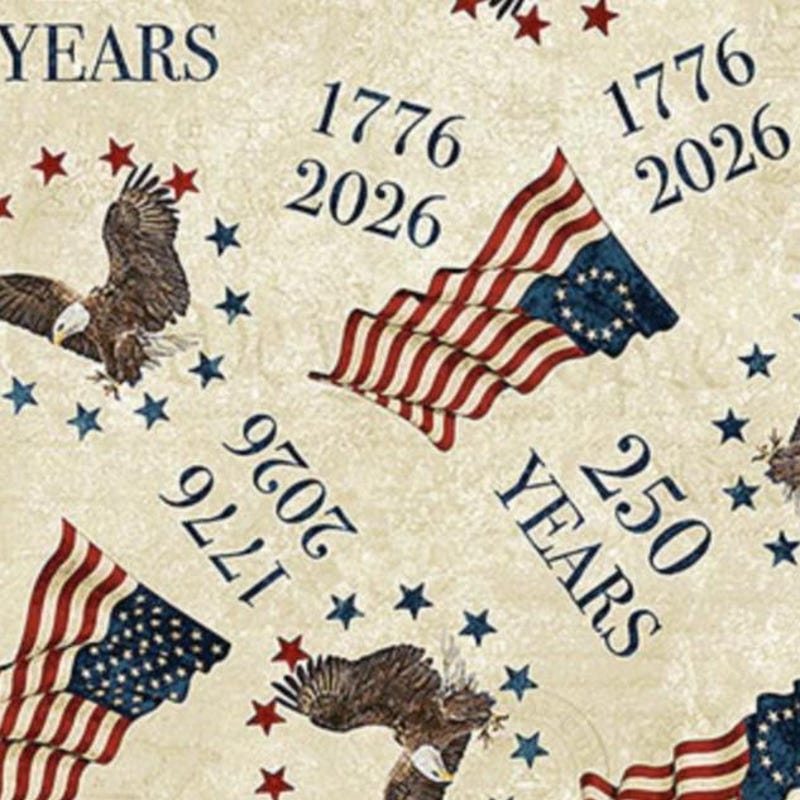250 America Fabric - Etsy