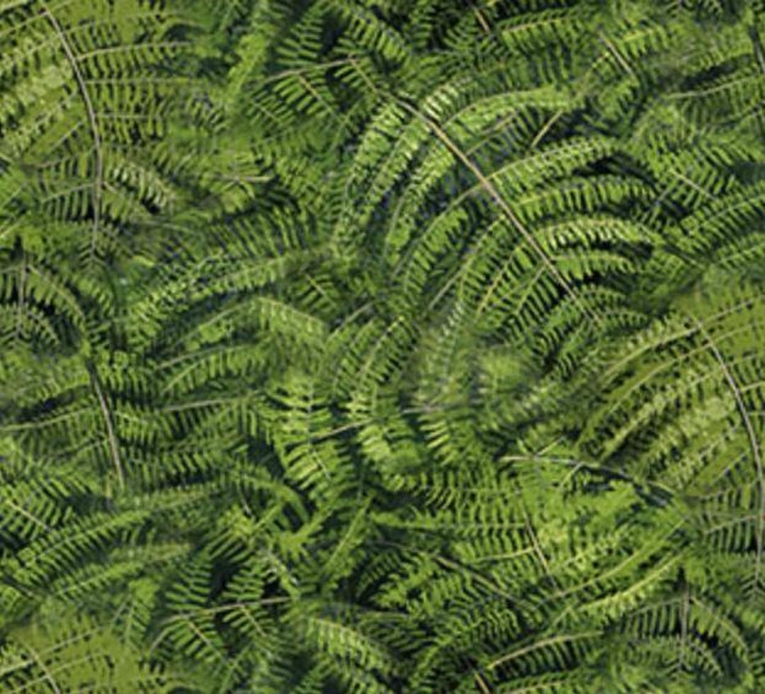 Naturescapes by Phillip Allder for Northcott 21404-76 Green - Etsy