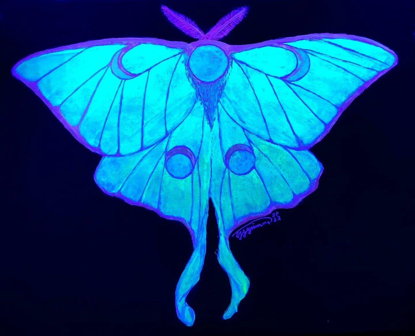 Lunar Moth (black Light/glow in the Dark Original Painting) - Etsy Canada
