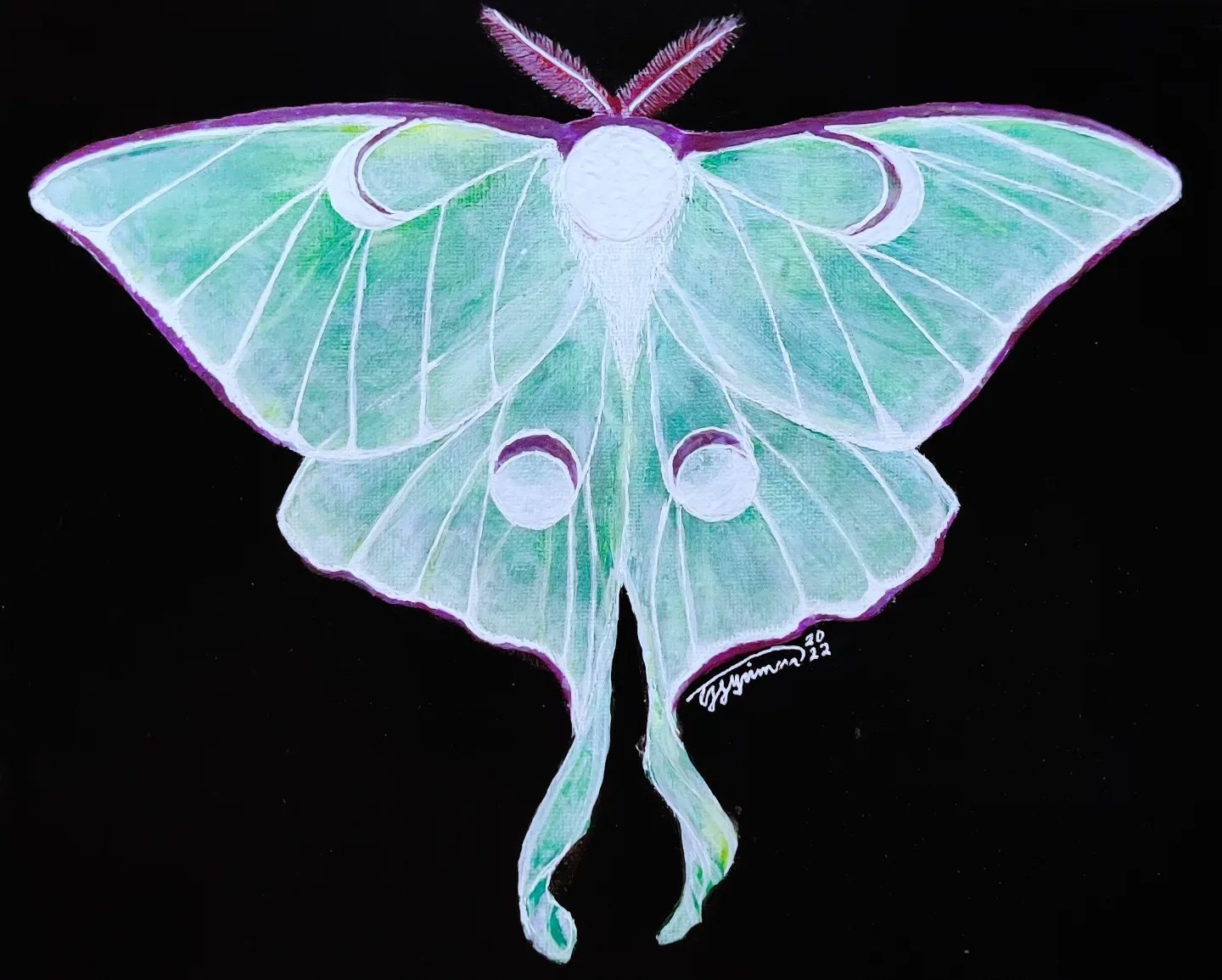 Lunar Moth (black Light/glow in the Dark Original Painting) - Etsy Canada