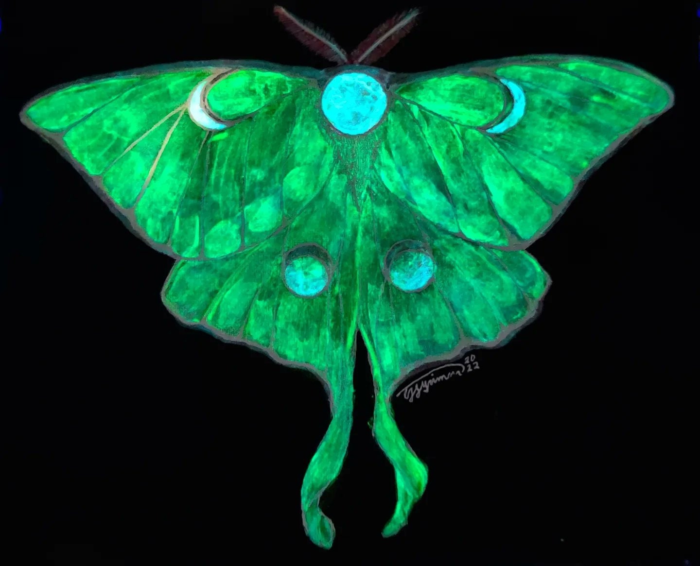 Lunar Moth (black Light/glow in the Dark Original Painting) - Etsy Canada