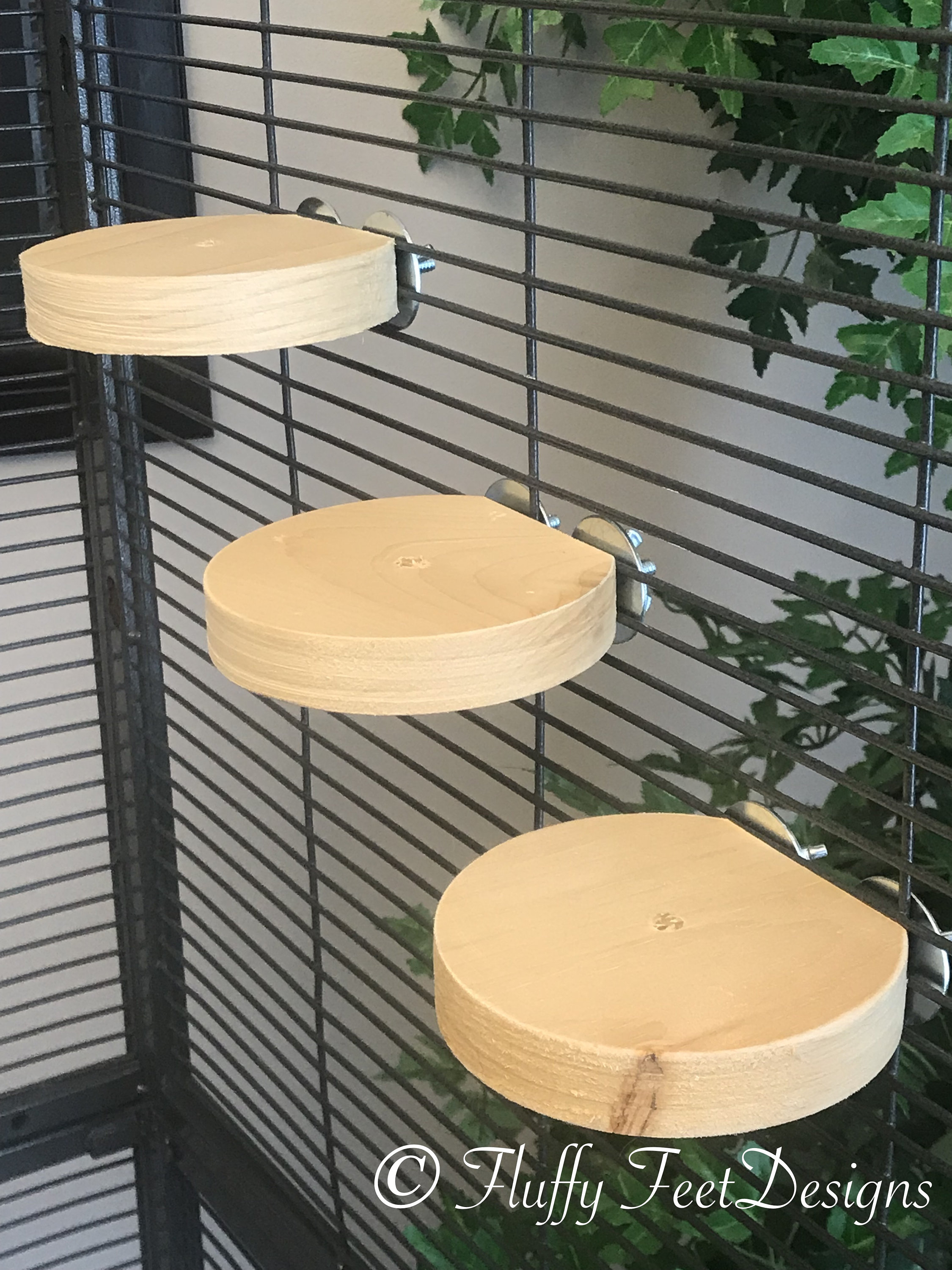 3x Circular Wood Ledges Kiln Dried Pine Mounting Hardware - Etsy