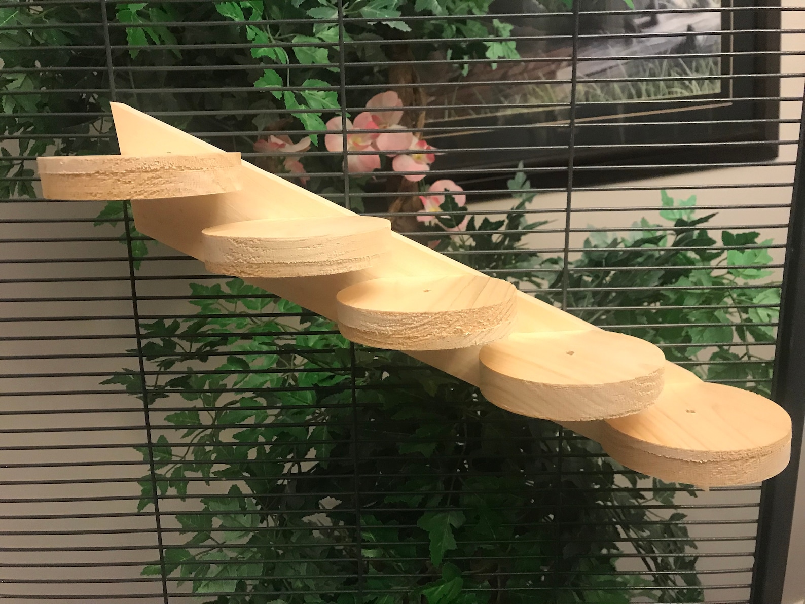 Chinchilla Ledge / Steps / Ramp Mounting Hardware - Etsy