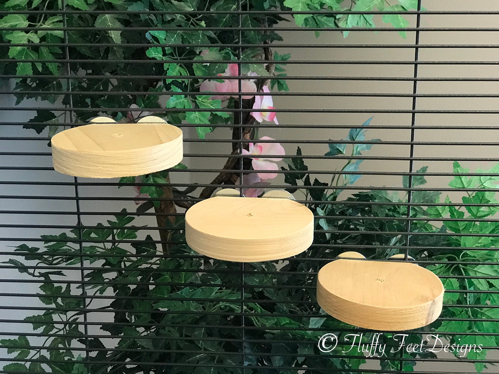 3x Circular Wood Ledges Kiln Dried Pine Mounting Hardware - Etsy