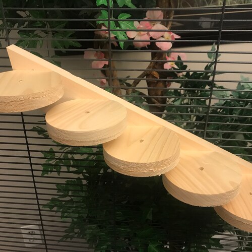 Chinchilla Ledge / Steps / Ramp Mounting Hardware - Etsy