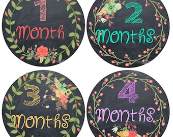 Baby Monthly Milestone Growth My 1st First HOLIDAY Stickers First Year ...