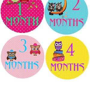 Sticker Baby Monthly Stickers Month Stickers Bodysuit - Etsy