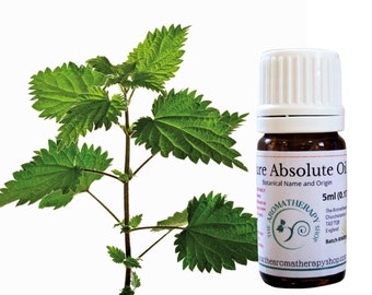 Stinging Nettle - Etsy