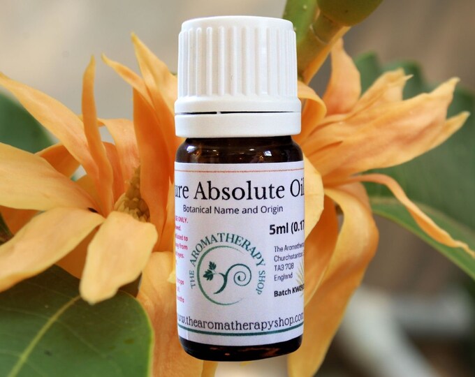 Golden Champaca Absolute Oil Michelia Champaca India Fruit Notes ...