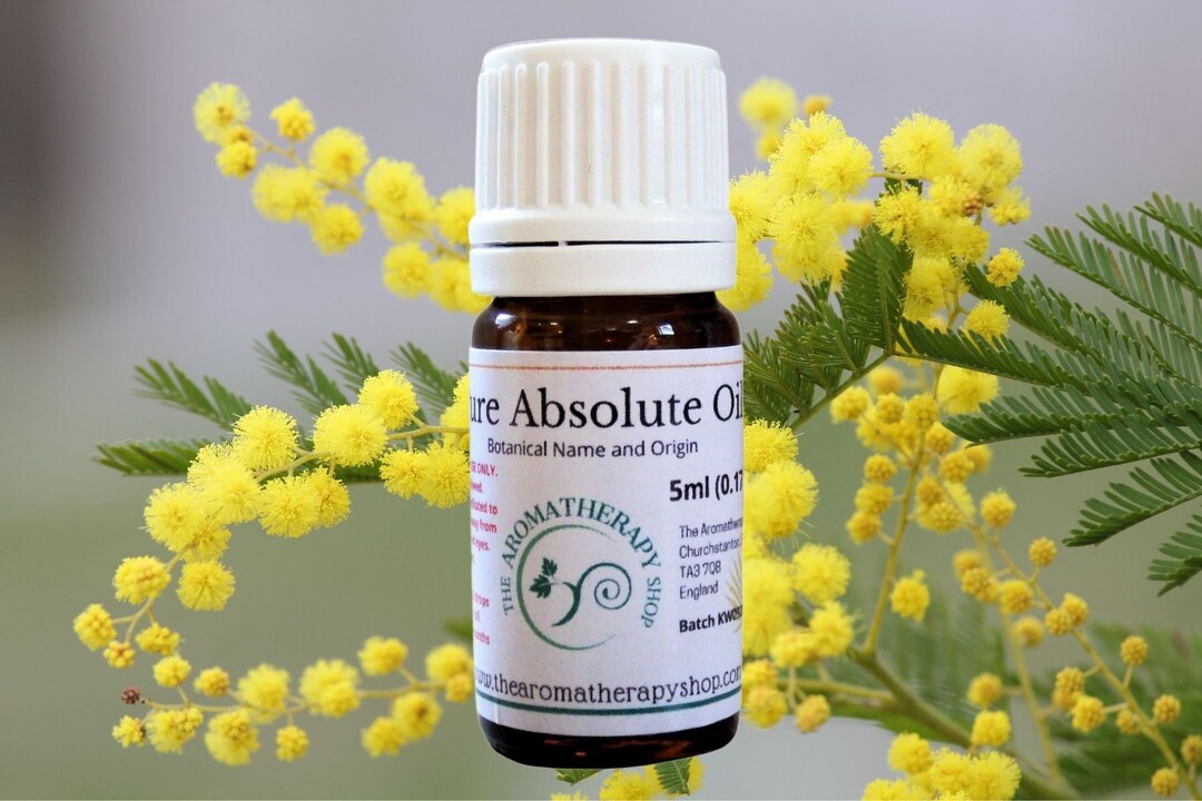 Mimosa Absolute Oil / Origin: Australia - Etsy