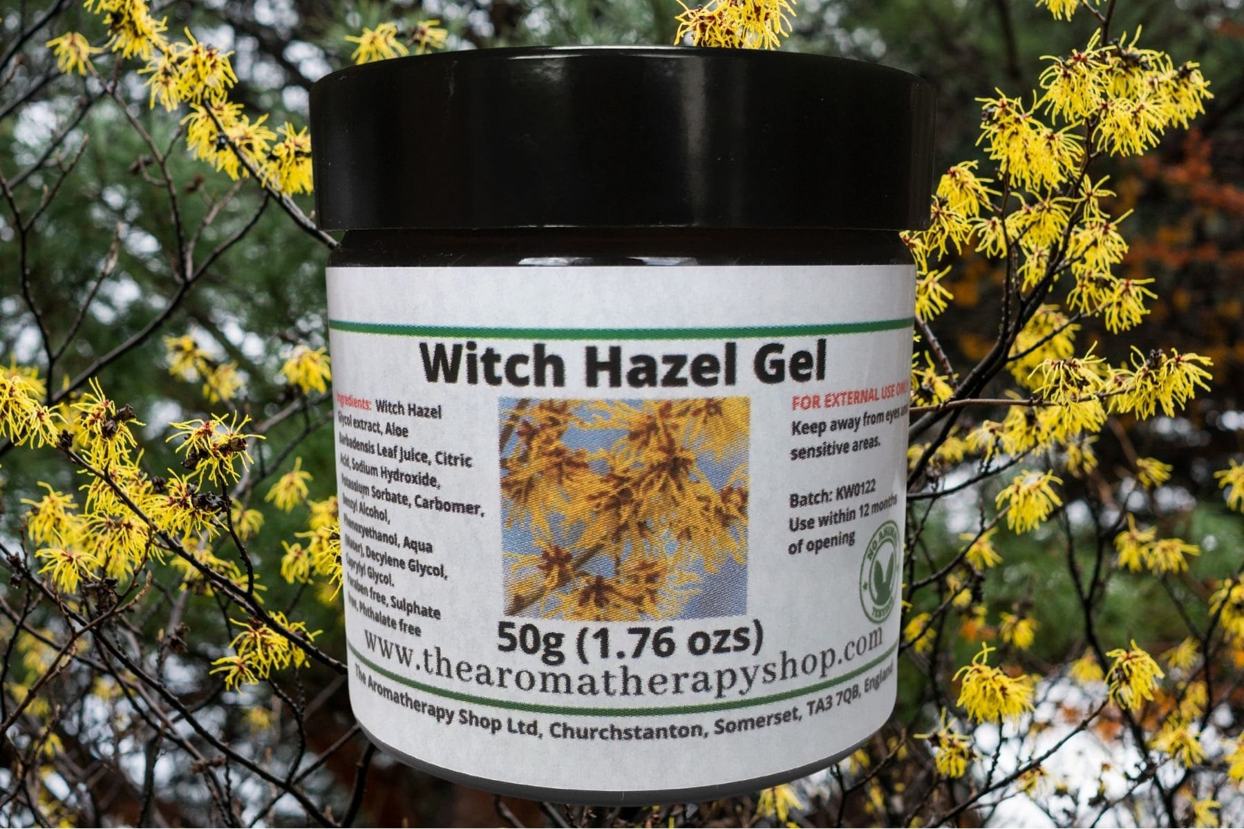 Witch Hazel Gel Cool and Healing Etsy