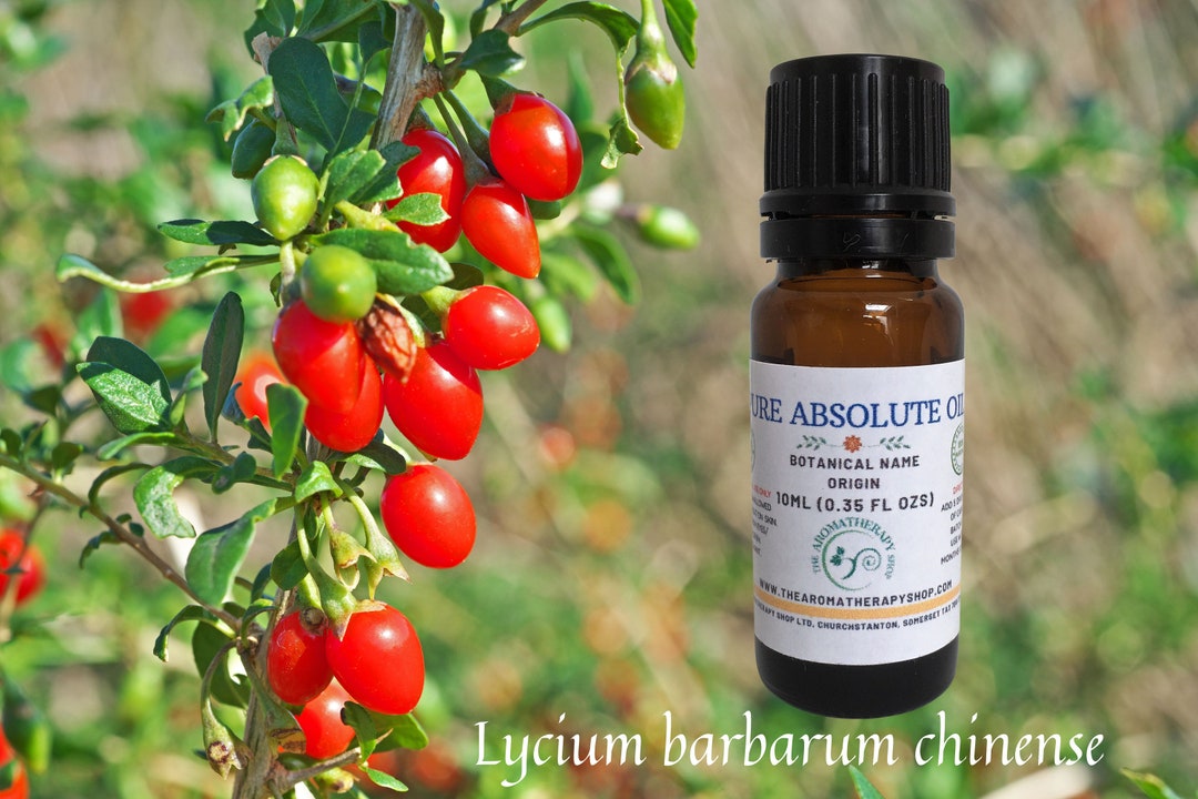 Goji Berry Absolute / Origin France - Etsy Australia