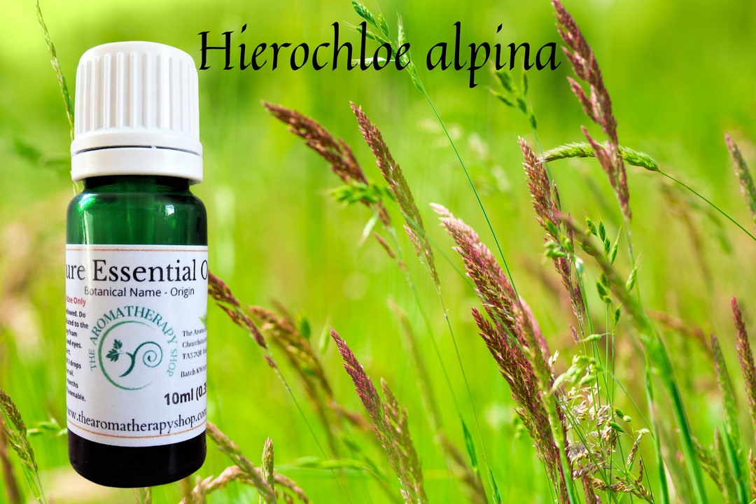 Hay Essential Oil / Origin France - Etsy