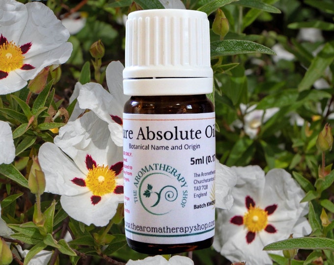 Labdanum Spain Resin - Cistus Ladaniferus - Spain - Etsy