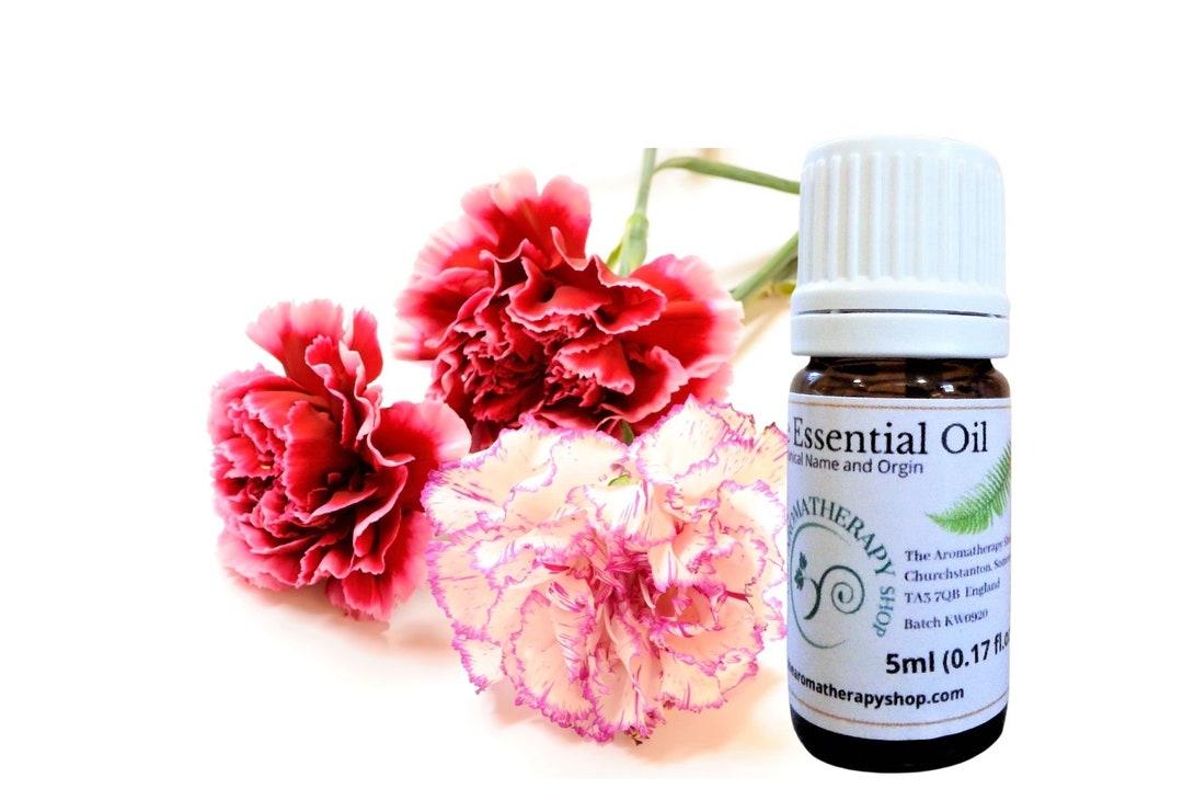 Carnation Essential Oil / Origin France - Etsy