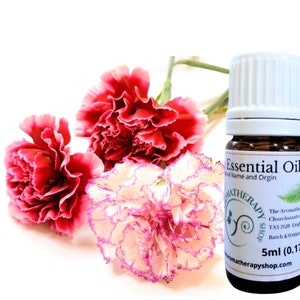Carnation Essential Oil / Origin France - Etsy
