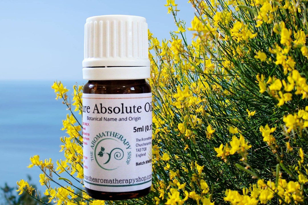 Broom / Genet Absolute Oil (origin Italy) - Etsy