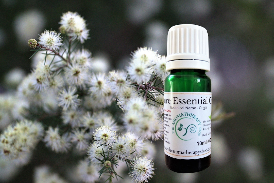 Kunzea (white Cloud) Essential Oil / Origin Tasmania - Etsy