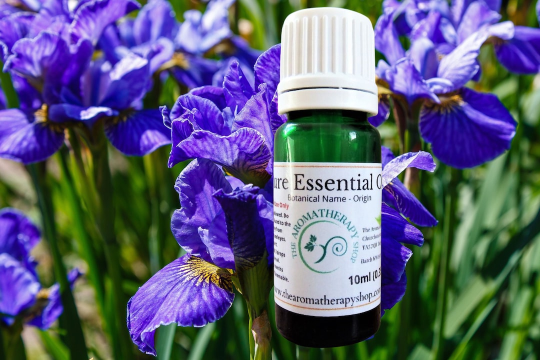Siberian Iris Essential Oil / Delicate Powdery Notes - Etsy