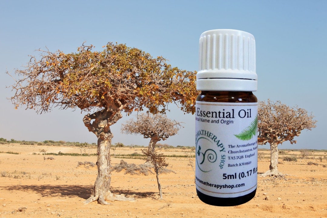 Myrrh Essential Oil / USDA Certified Organic - Etsy