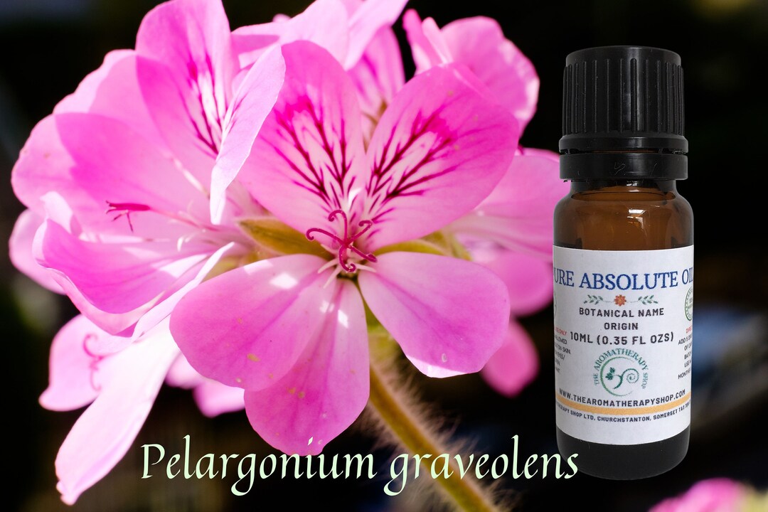 Geranium Pure Absolute / Origin Egypt - Etsy