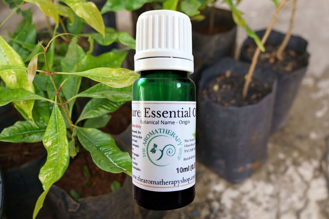 Clove Leaf Pure Essential Oil - Etsy