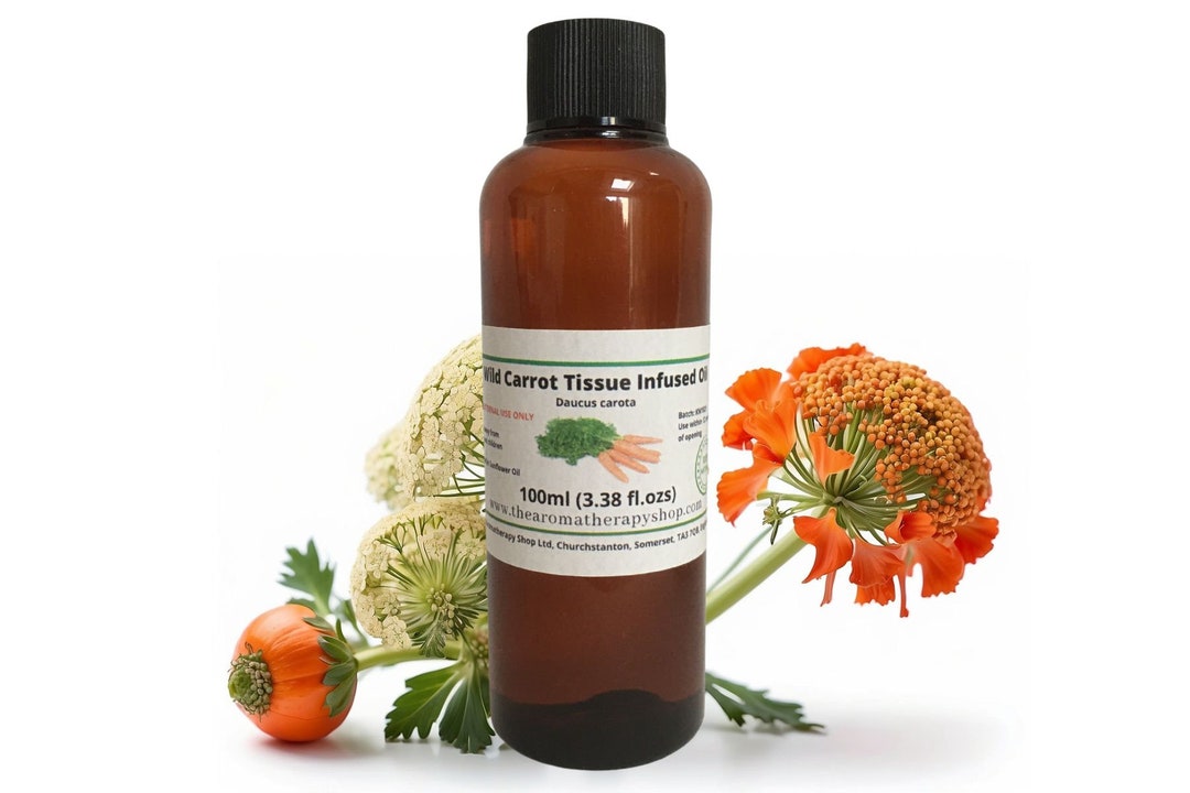 Carrot Infused Oil - Etsy