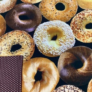 Adult Full Size Apron, Bagels, Sprinkles, Seeds, Toasted, Black, Brown ...