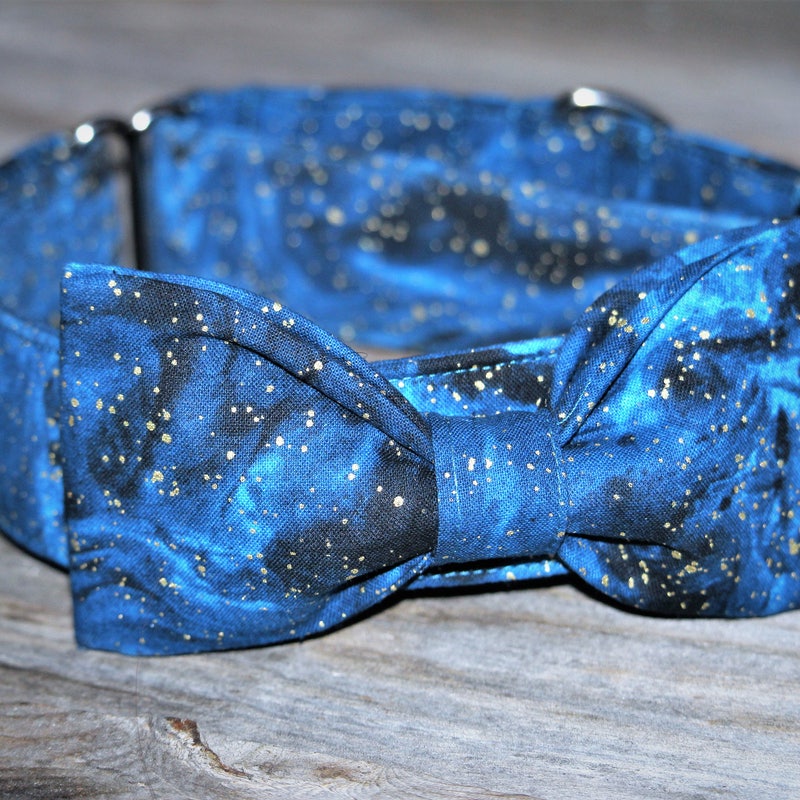 Dog Collar/ Pit Bull - Etsy