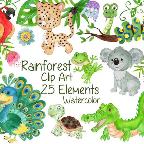 Watercolor Amazon Baby Animals 2 Clipart Tropical Rainforest - Etsy