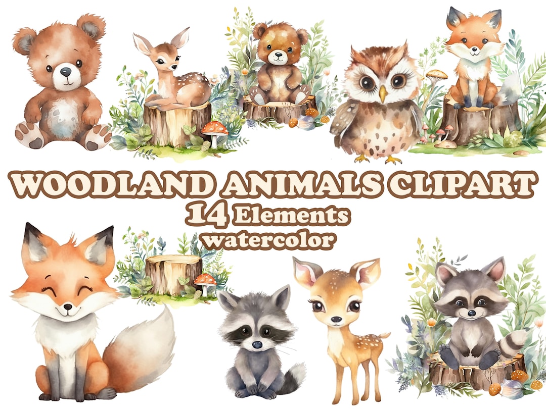 Woodland Animals Watercolor Clipart: forest ANIMALS - Etsy