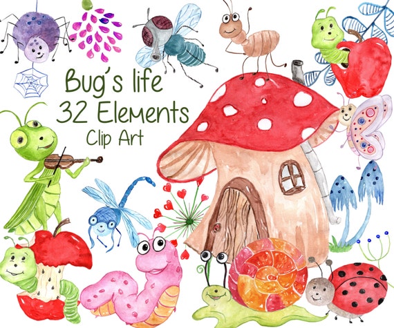Cute Bugs Clipart:bugs Clipart Watercolor Bugs | Etsy